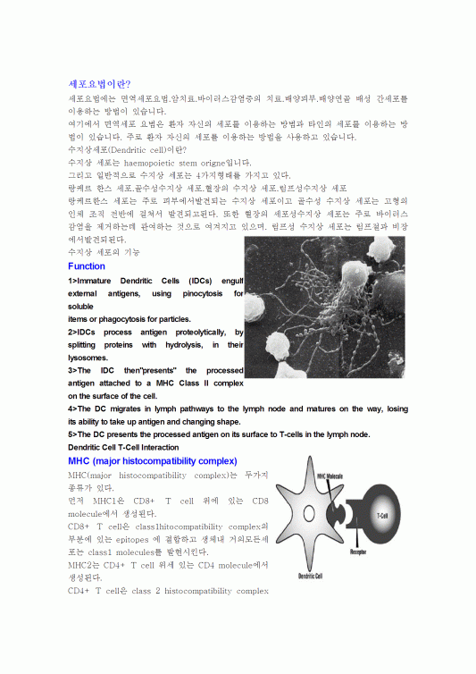 세포요법이란?
