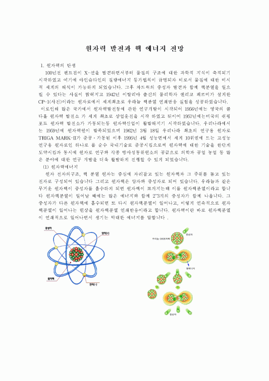 원자력 발전과 핵 에너지 전망
