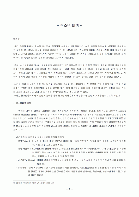청소년비행에대해