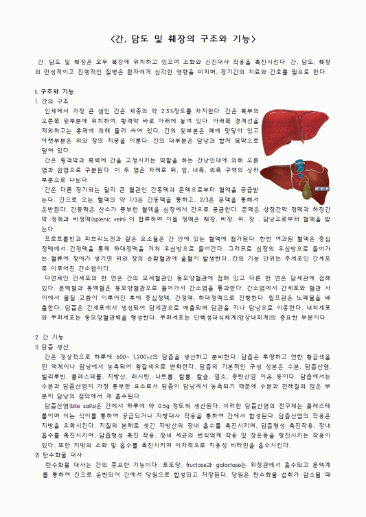 간, 담도 및 췌장의 구조와 기능