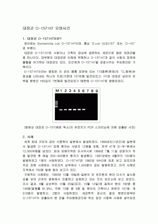 대장균 O157 레포트 자료