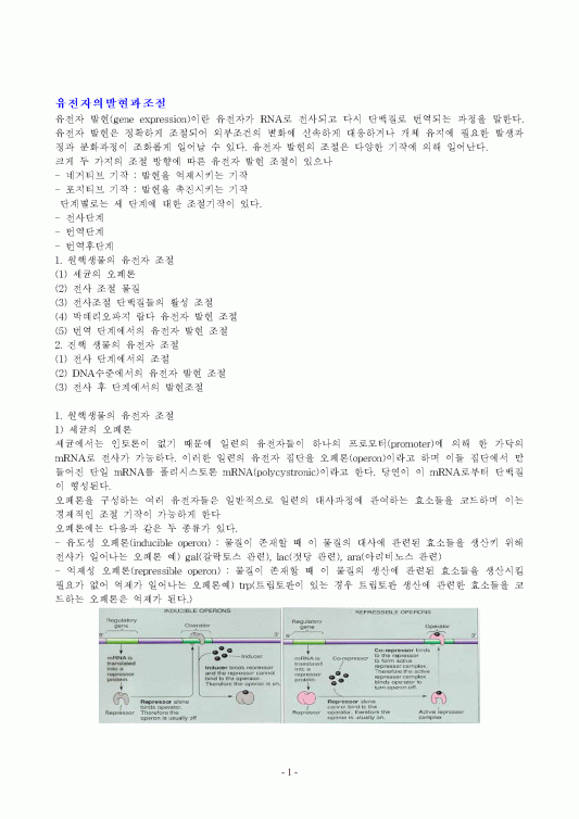 유전자뱔현 레포트 자료