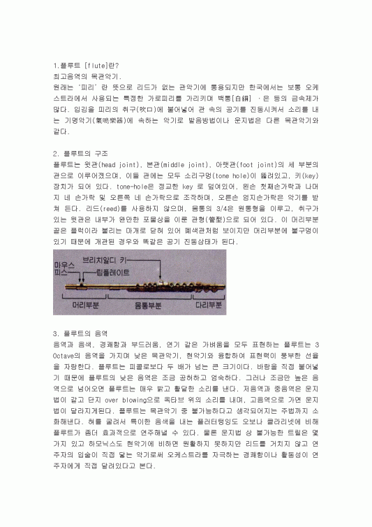 플루트[flute]에 대하여