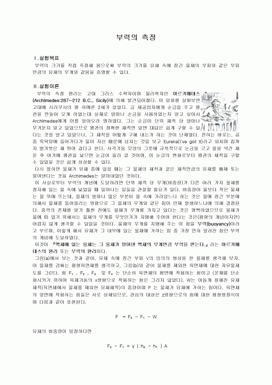 부력의 측정 예비레포트