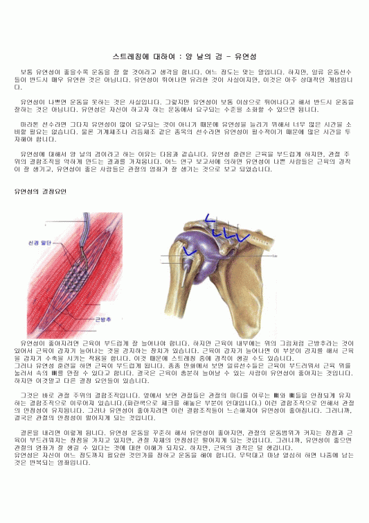스트레칭에 대하여...