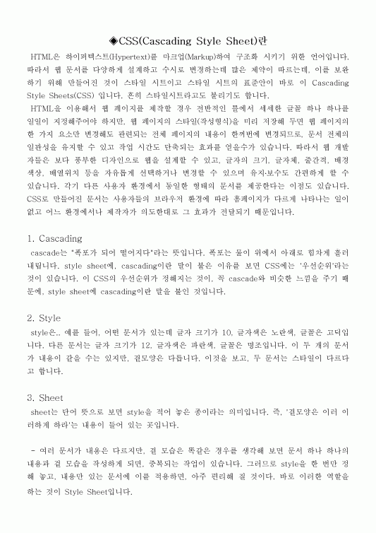 CSS에 대한 보고서