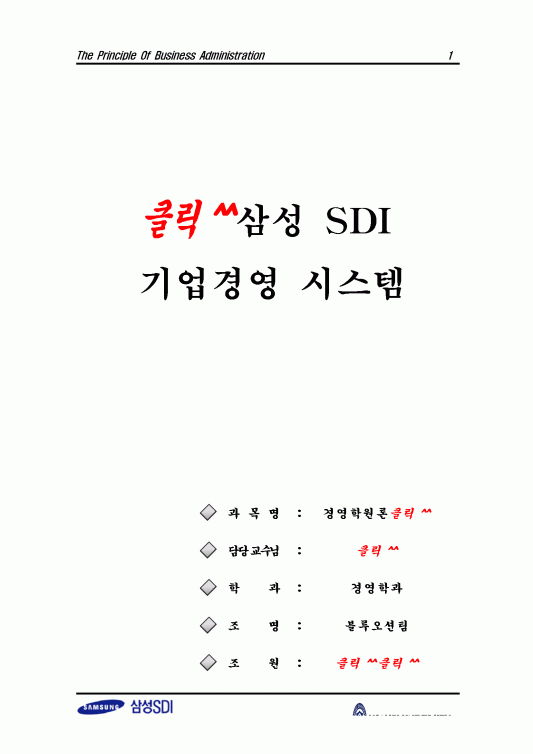 삼성 SDI 기업경영 시스템 분석