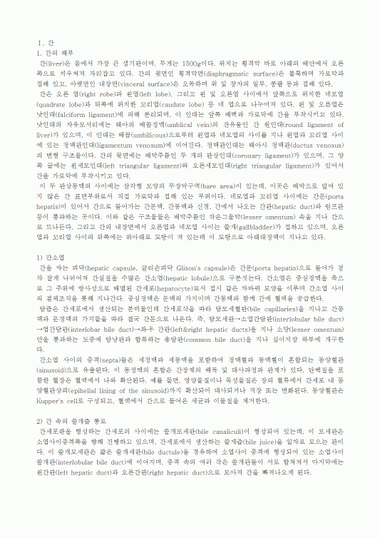 간 담도계(간,담낭,췌장)의 해부.생리.진단검사