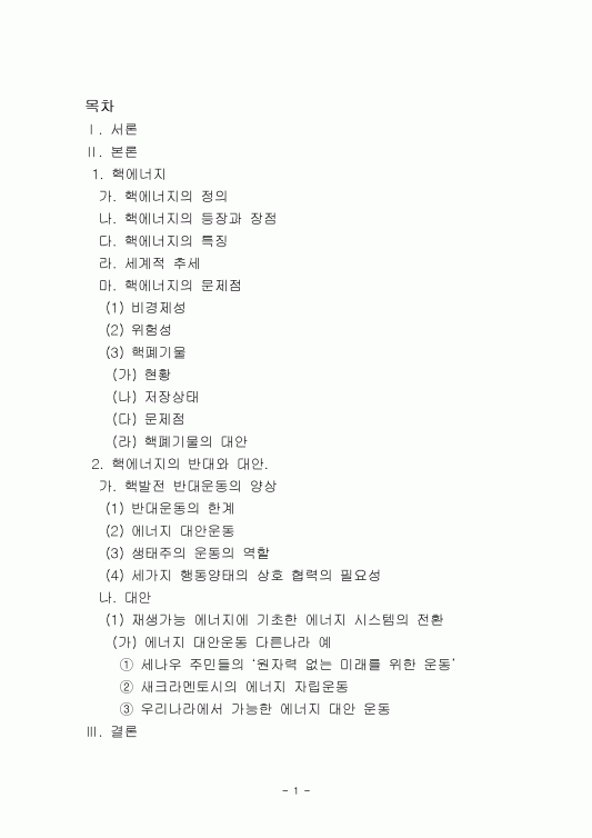 [핵반대]핵에너지 사용반대