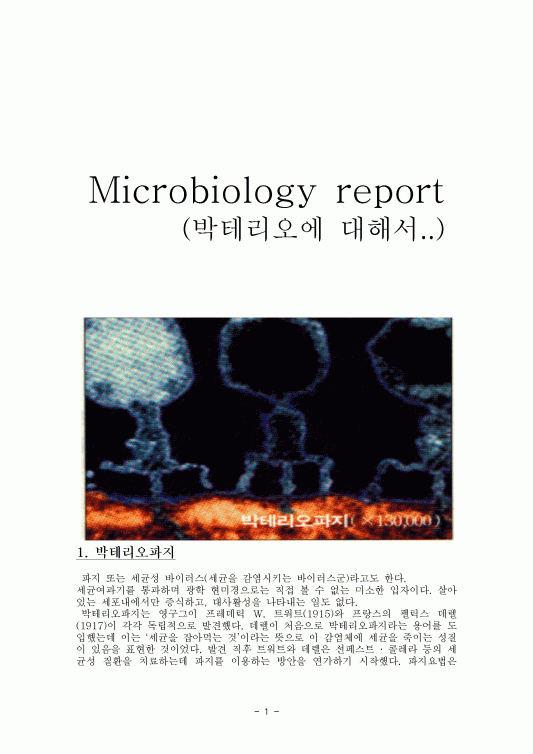박테리오파지