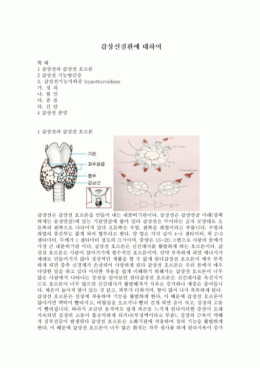 갑상선질환에 대하여