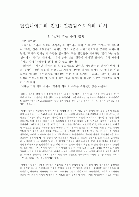 니체철학의 분석