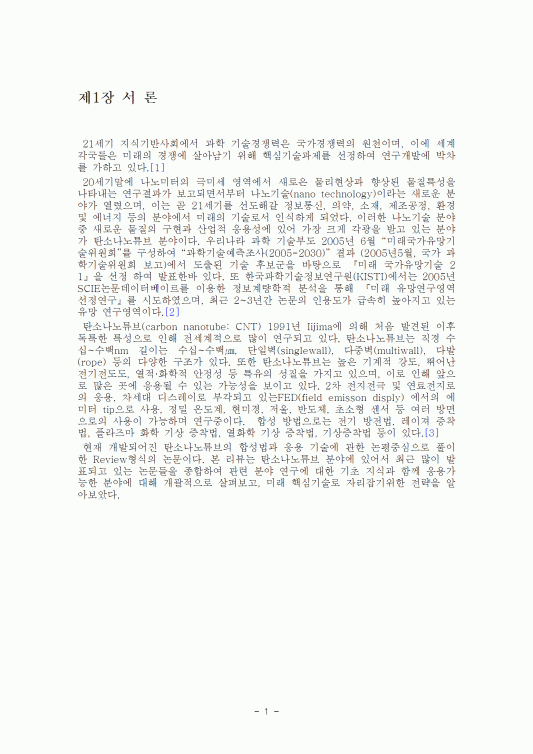 탄소나노튜브 나노기술 나노 화공논문 화학공학과 탄소 졸업논문 기술