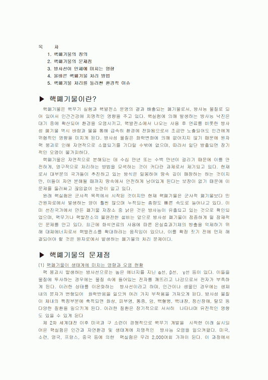 핵 폐기물 레포트 자료