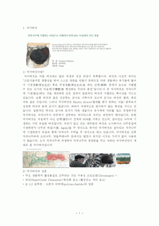 건강보조식품 - 차가버섯, 미슬토, 홍국