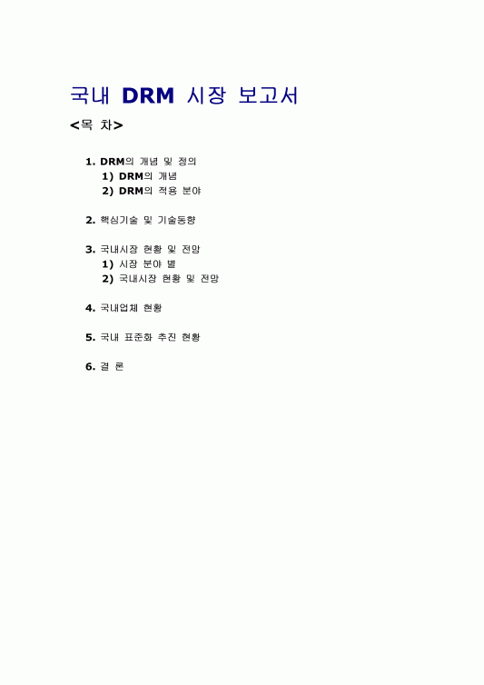 국내 DRM 시장조사자료.doc