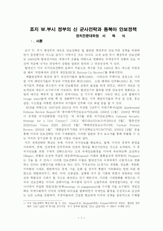 조지 W.부시 정부의 신군사전략과 동북아 안보정책
