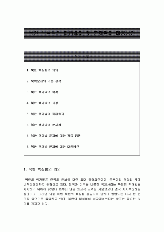 북핵실험의 파급효과 및 문제점과 대응방안