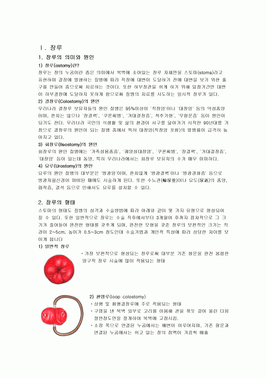 장루(ostomy)의 의미와 어원 형태 위치 및 기능에 따른 분류 후유증 및 장루관리