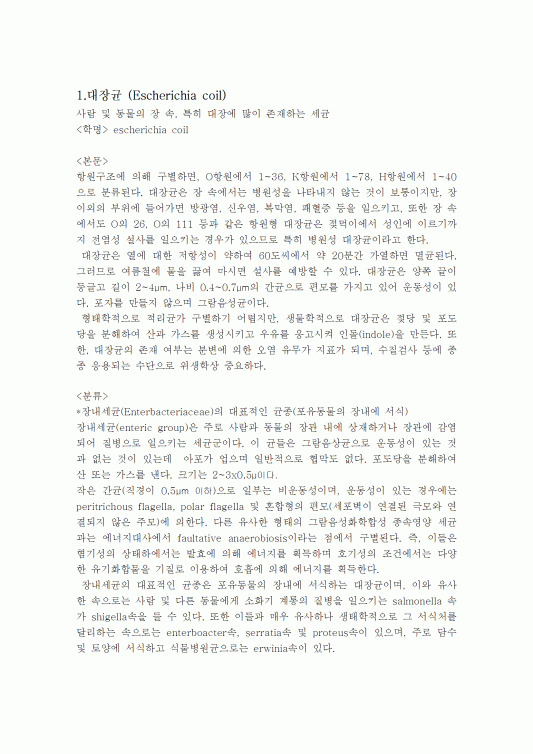 이스트와 이콜라이의 차이점