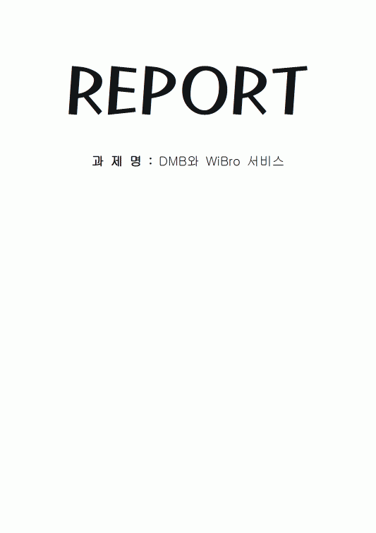 DMB와 와이브로의 비교