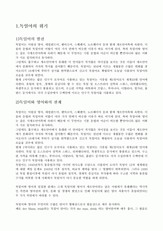 독일의 영어범람현상