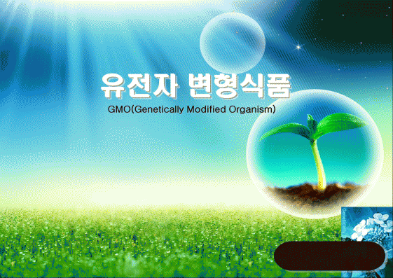 유전자 변형식품 (GMO)