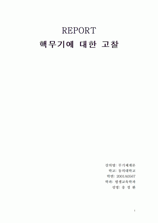 핵무기에 대한 고찰