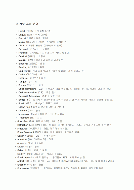 치과용어 및 치과치료에 대한 정리