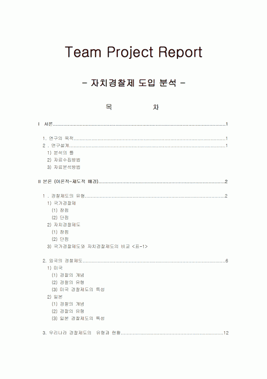 자치경찰제 도입 분석