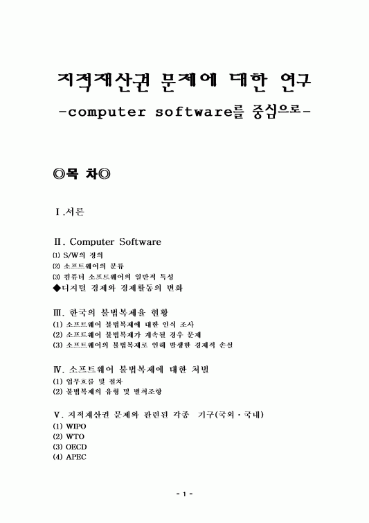 지적재산권 문제에 대한 연구-computer software를 중심으로-