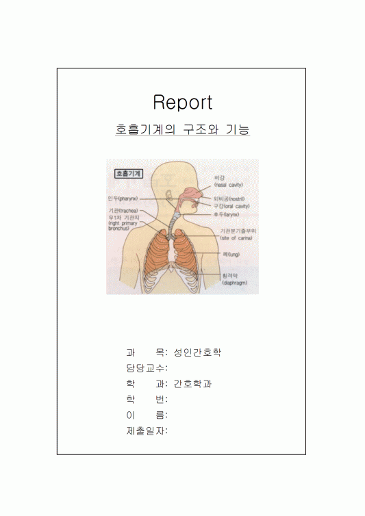 호흡기계 구조와 기능 호흡기계 기본원리