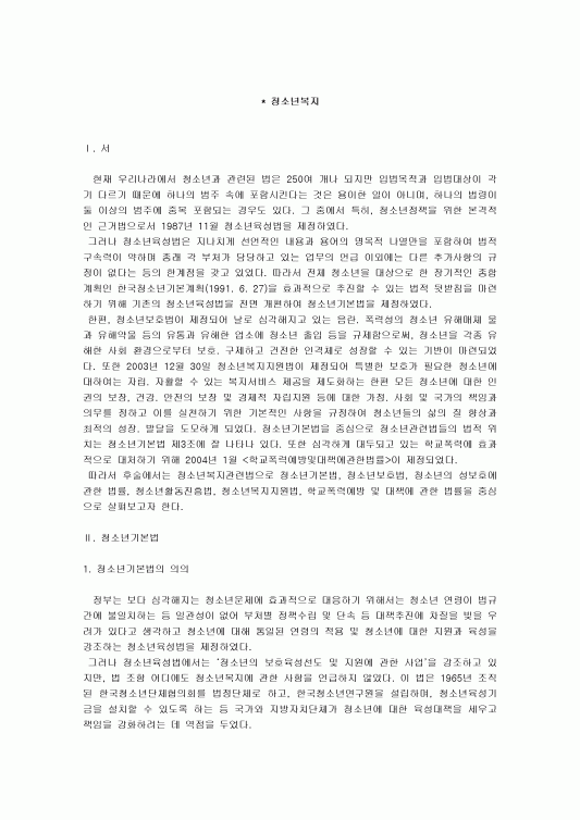 [사회복지] 청소년복지에 관한 고찰