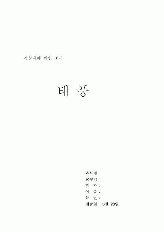 자연재해 - 태풍