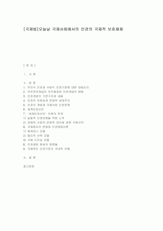 [국제법]오늘날 국제사회에서의 인권의 국제적 보호체제