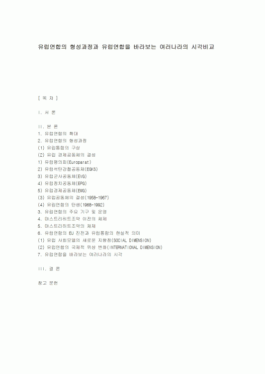 유럽연합의 형성과정과 유럽연합을 바라보는 여러나라의 시각비교