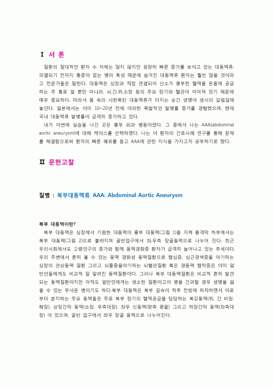 복부 대동맥류(AAA) 케이스 스터디