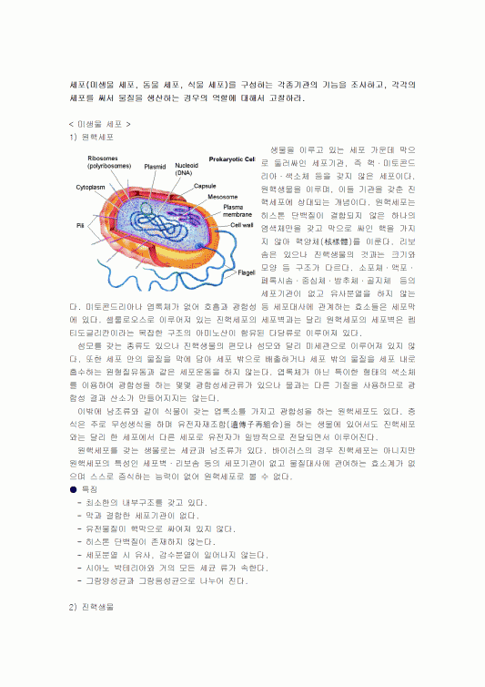 미생물 세포, 동물 세포, 식물 세포를 구성하는 각종기관의 기능을 조사