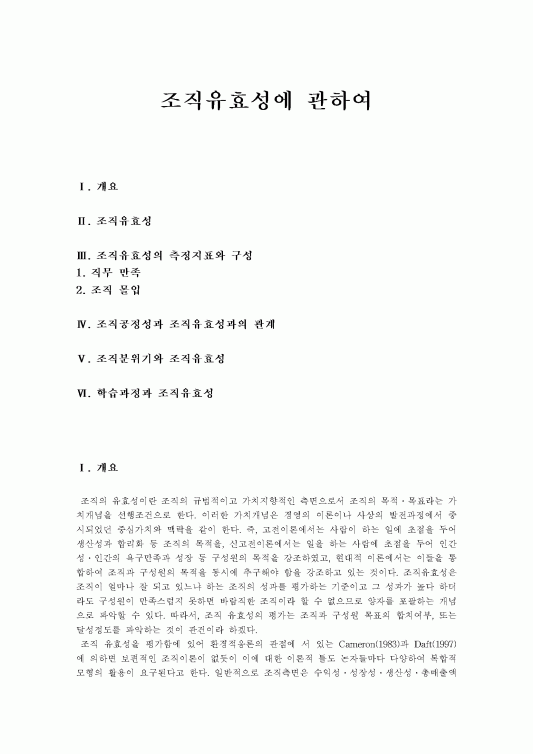 [조직유효성][조직][유효성][조직공정성]조직유효성에 관하여(조직유효성, 조직유효성의 측정지표와 구성, 조직공정성과 조직유효성과의 관계, 조직분위기와 조직유효성, 학습과정과 조직유효성)