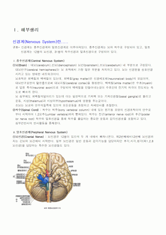 신경계 건강사정