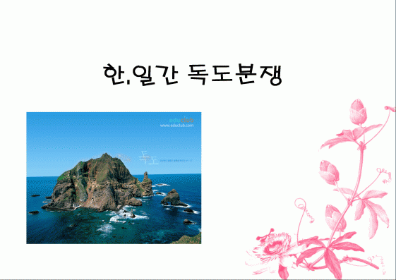 한.일간 독도영유권 분쟁과 대처방안