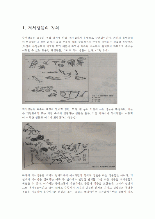 저서생물의생활