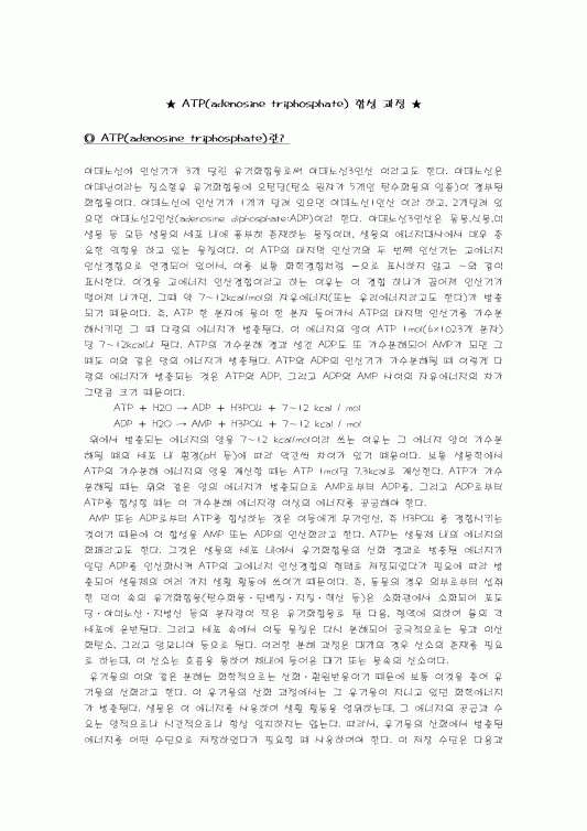 ATP(adenosine triphosphate)의 합성과정