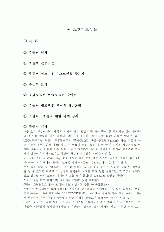 스탠다드푸들