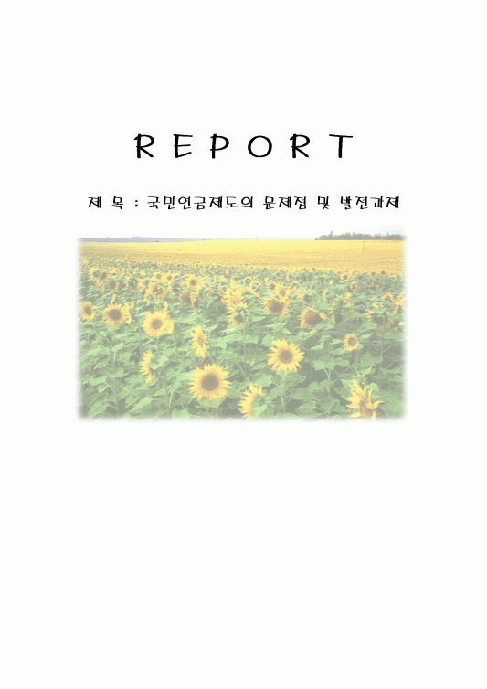 국민연금제도의 문제점 및 발전과제