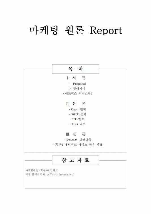 Czen 기업 마케팅 분석