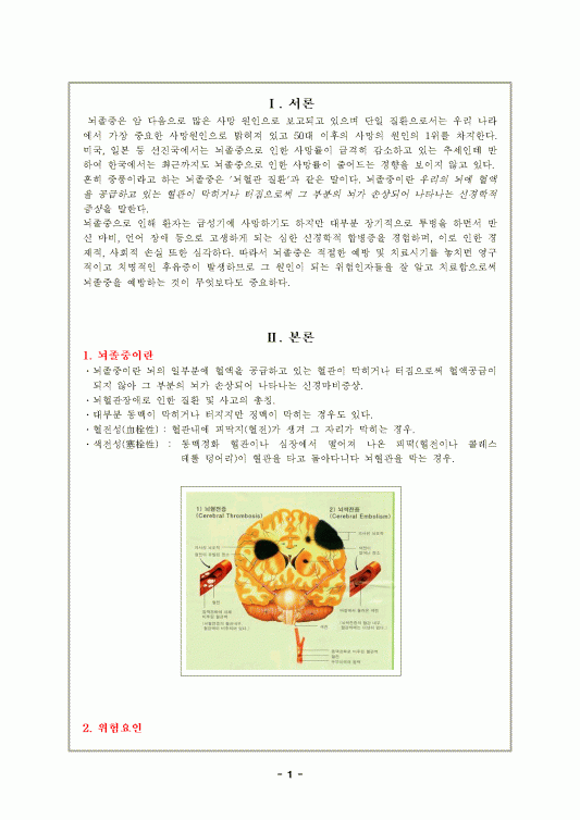 성인간호학 뇌졸중