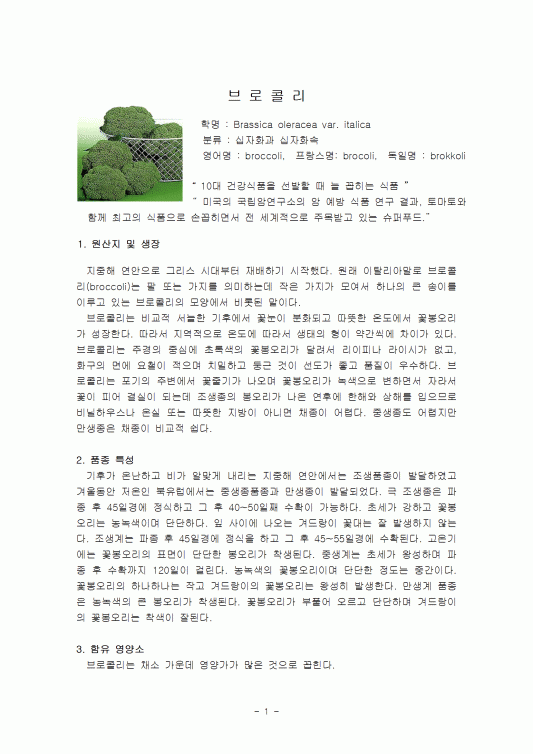 웰빙식품-브로콜리