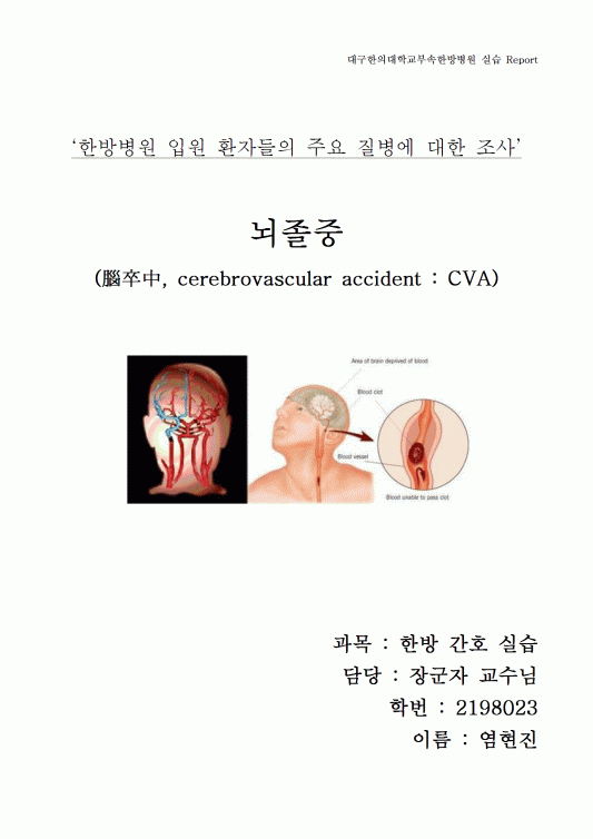 뇌졸중,CVA에 대한 조사