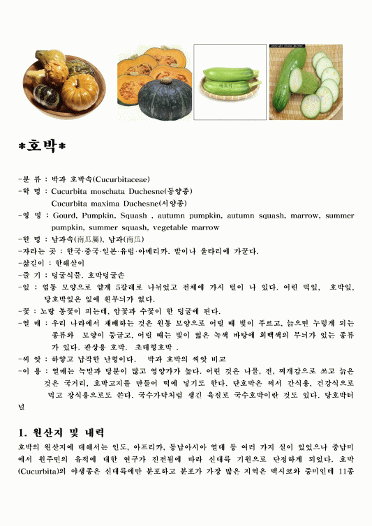 호박의 효능과 영양
